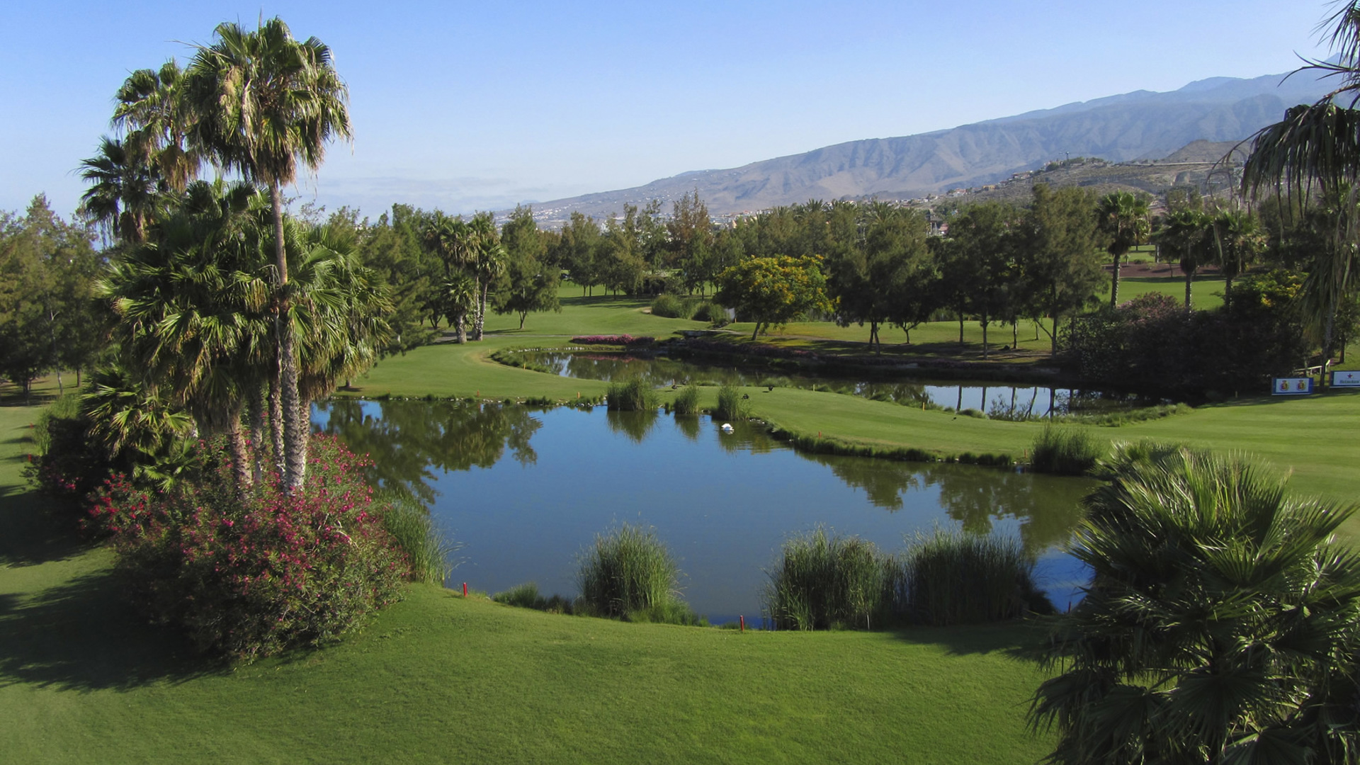 Golfplatz Golf Las Américas , Golfreisen - Alpha Golftours