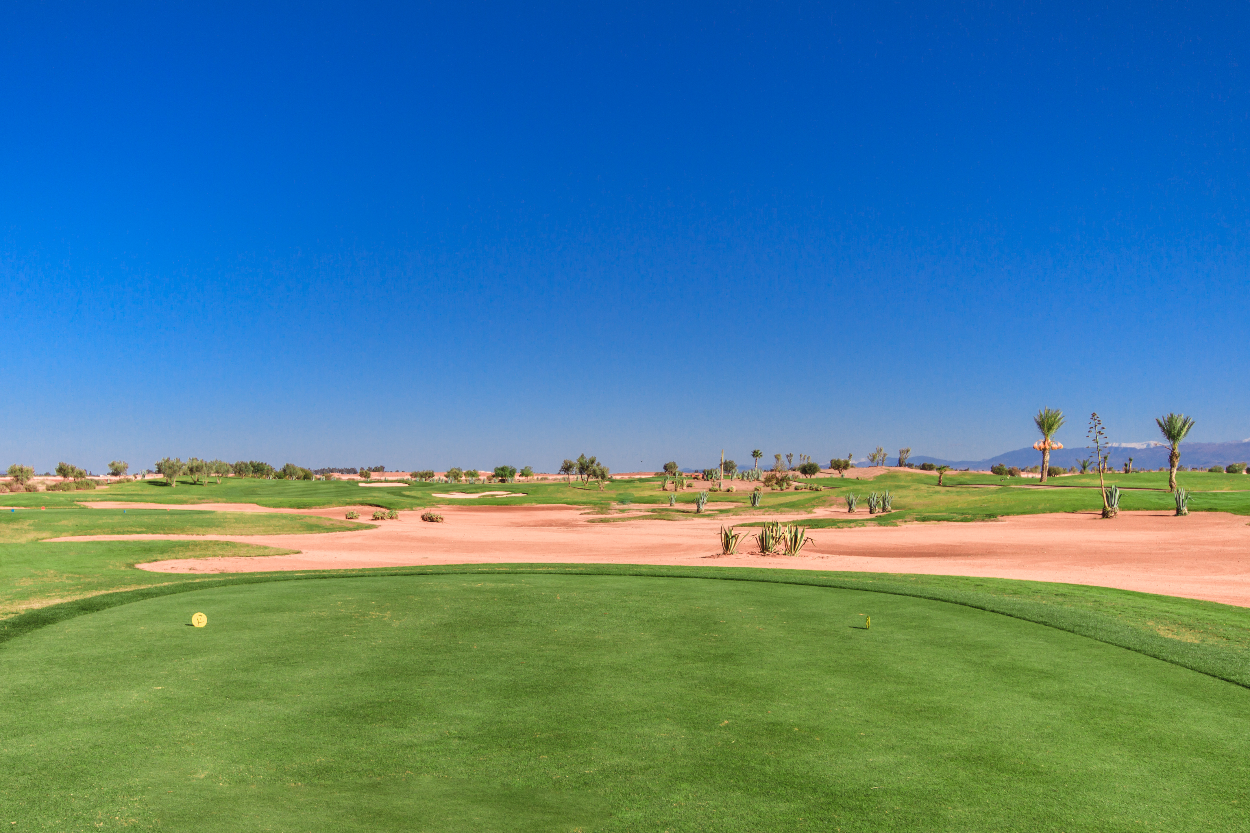 Golfplatz Samanah Golf Club , Golfreisen - Alpha Golftours